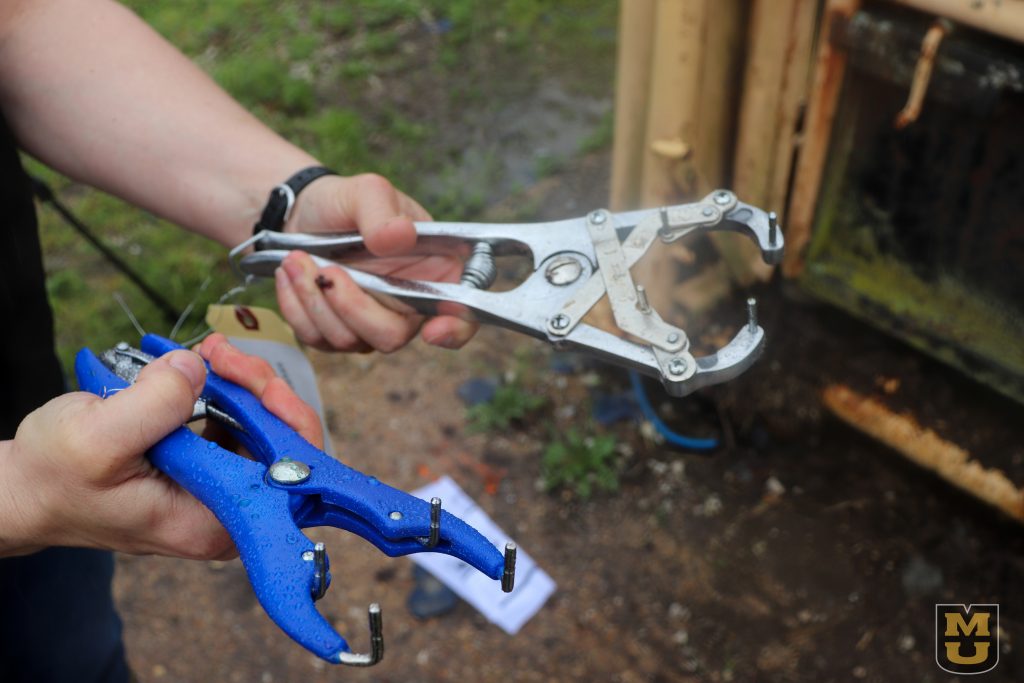 Women in Agriculture: Hand Tools - Safety, Health and Wellness in ...